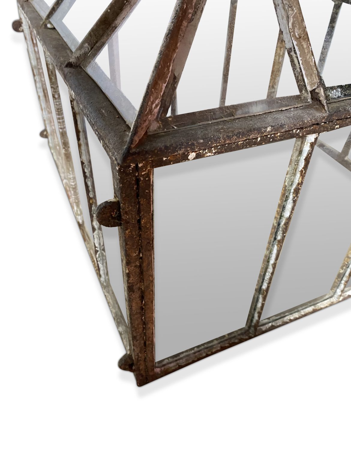 Extra Large Garden Cloche – Disquarded